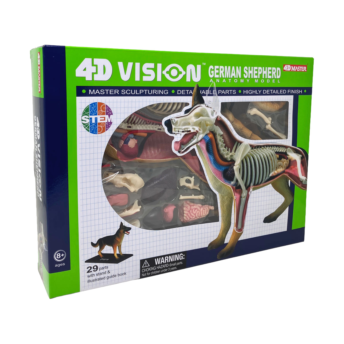 4D Vision German Shepherd Anatomy Model | AreYouGame – AreYouGame.com