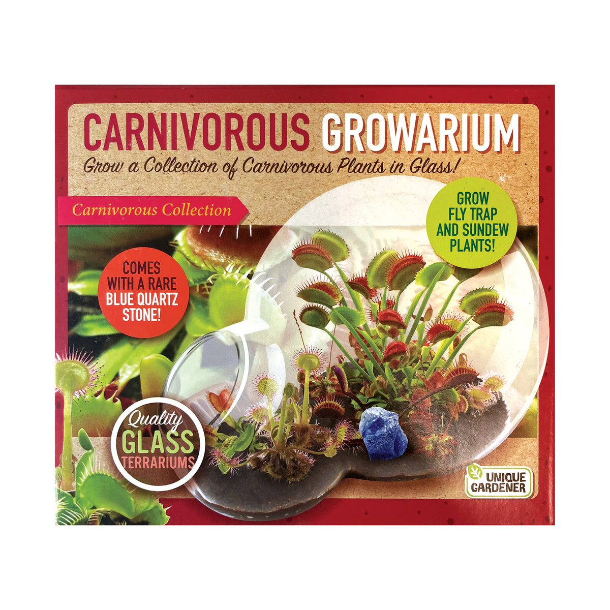 Double Sphere Glass Terrarium - Carnivorous Growarium | AreYouGame ...