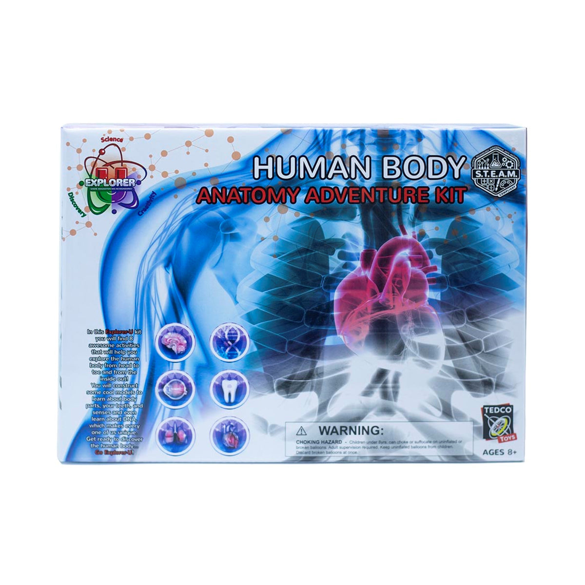 Human Body Anatomy Adventure Kit | AreYouGame – AreYouGame.com